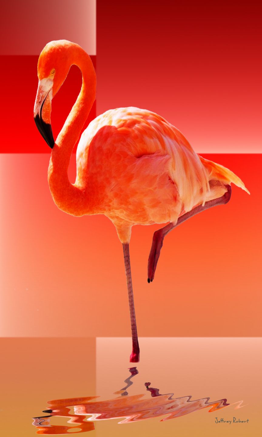 PRETTY FLAMINGO (Flamingo Original)