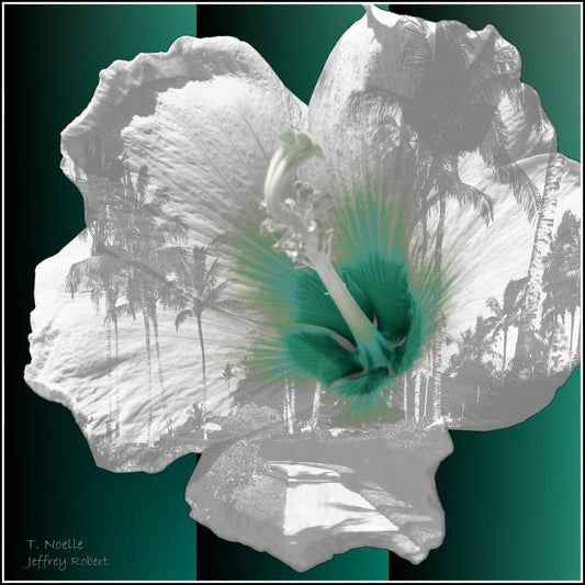 THE ART OF THE CRAYON