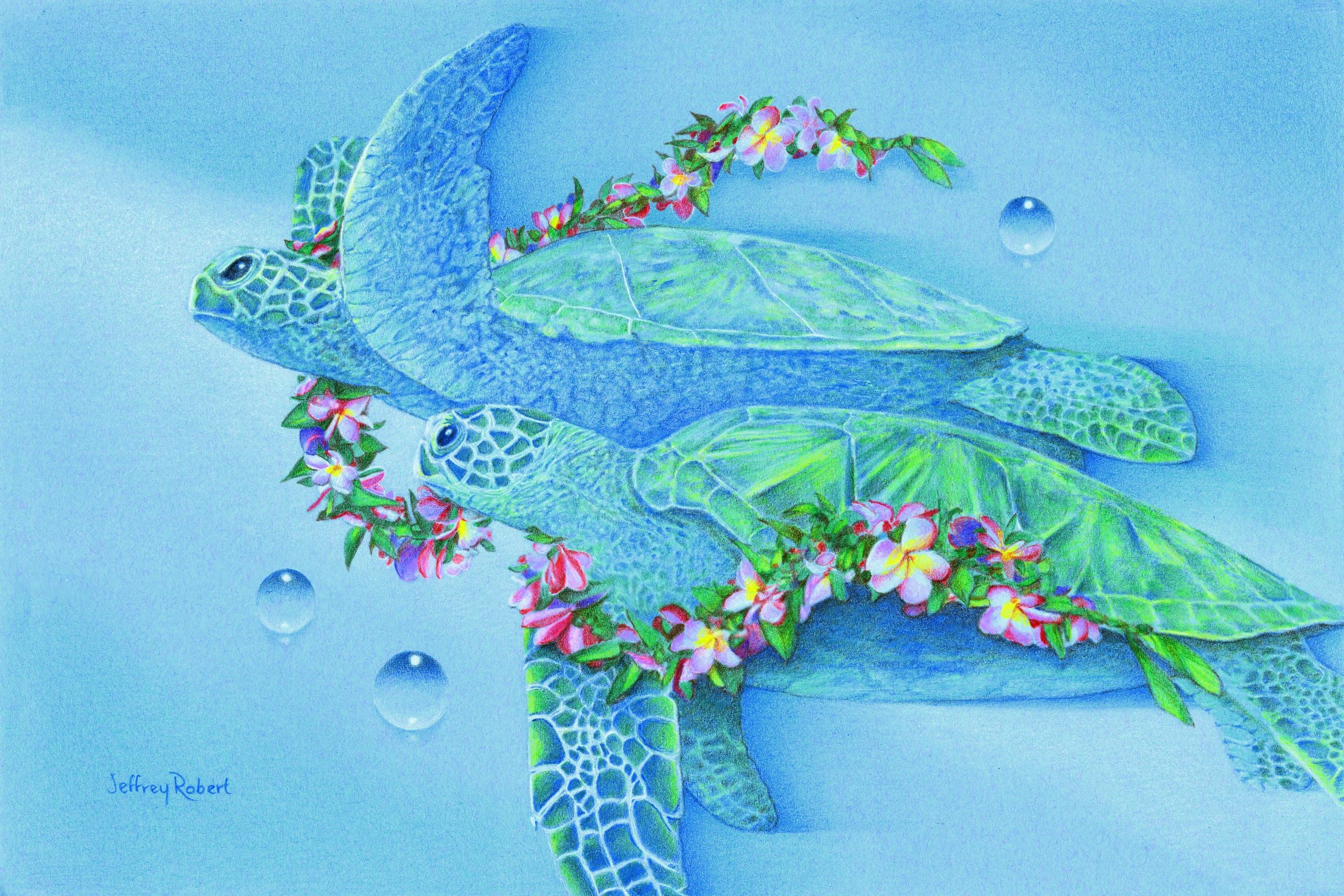 HONU LOVE